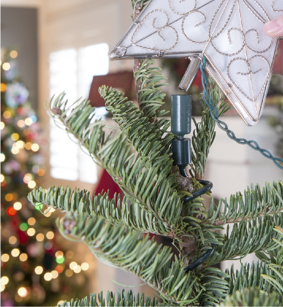 Village Lighting Company